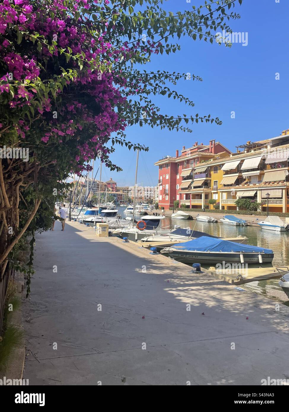 Valencia, Port Saplaya, pink flowers besides colorful houses and boats ...
