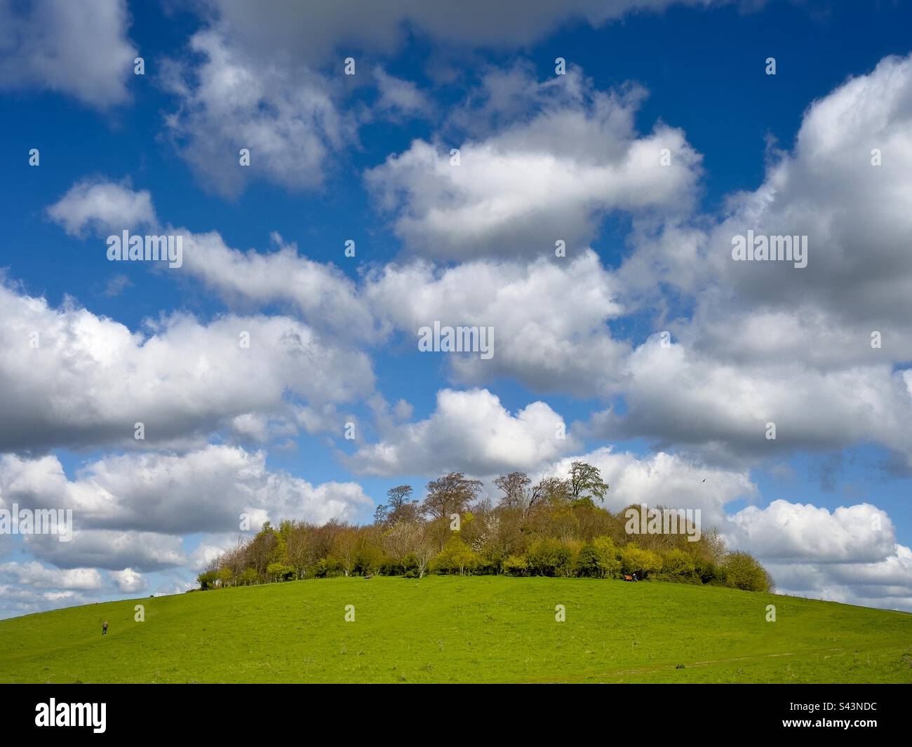 Wittenham clumps hi-res stock photography and images - Alamy
