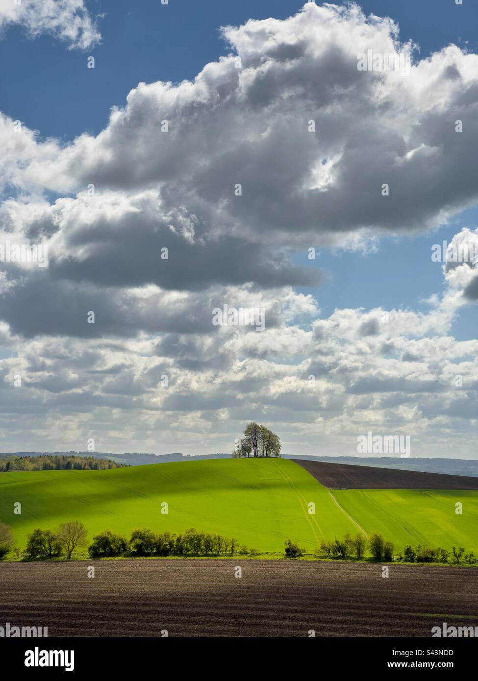 Brightwell hi-res stock photography and images - Alamy