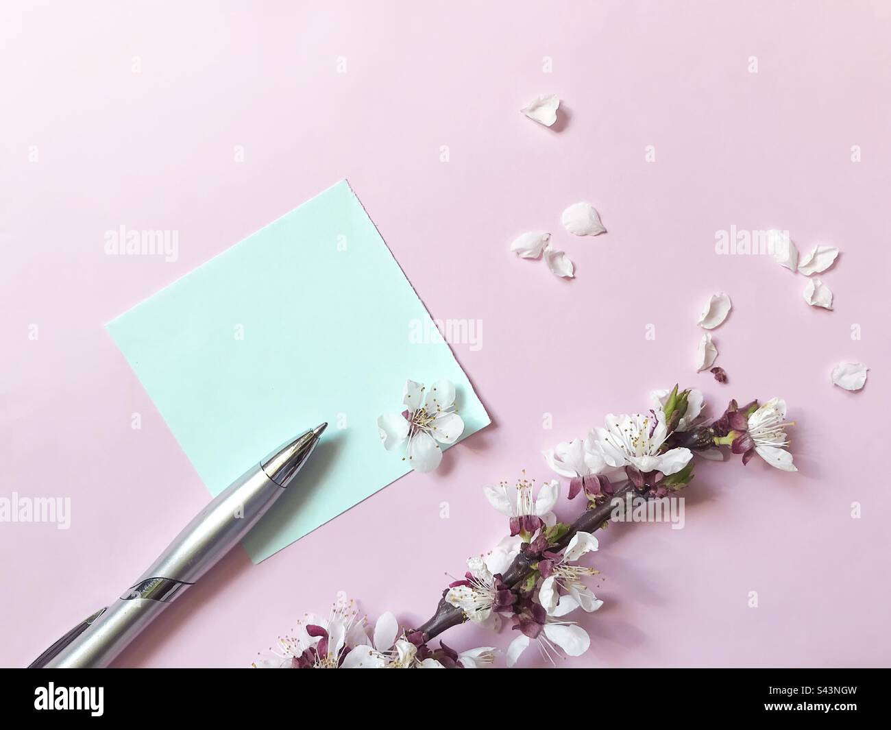 Spring notes with spring flowers Stock Photo - Alamy