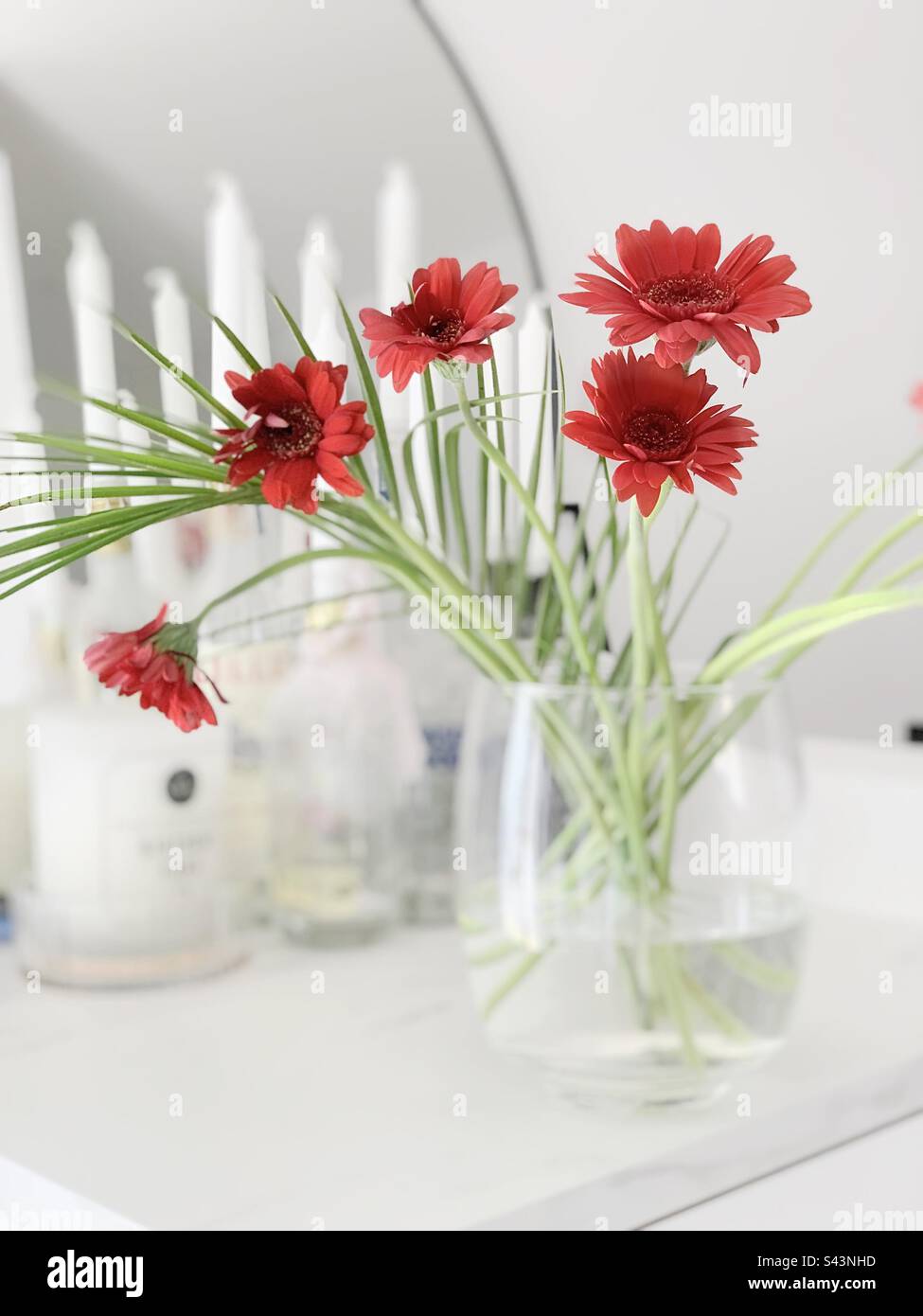 Red gerbera flowers in vase Stock Photo - Alamy