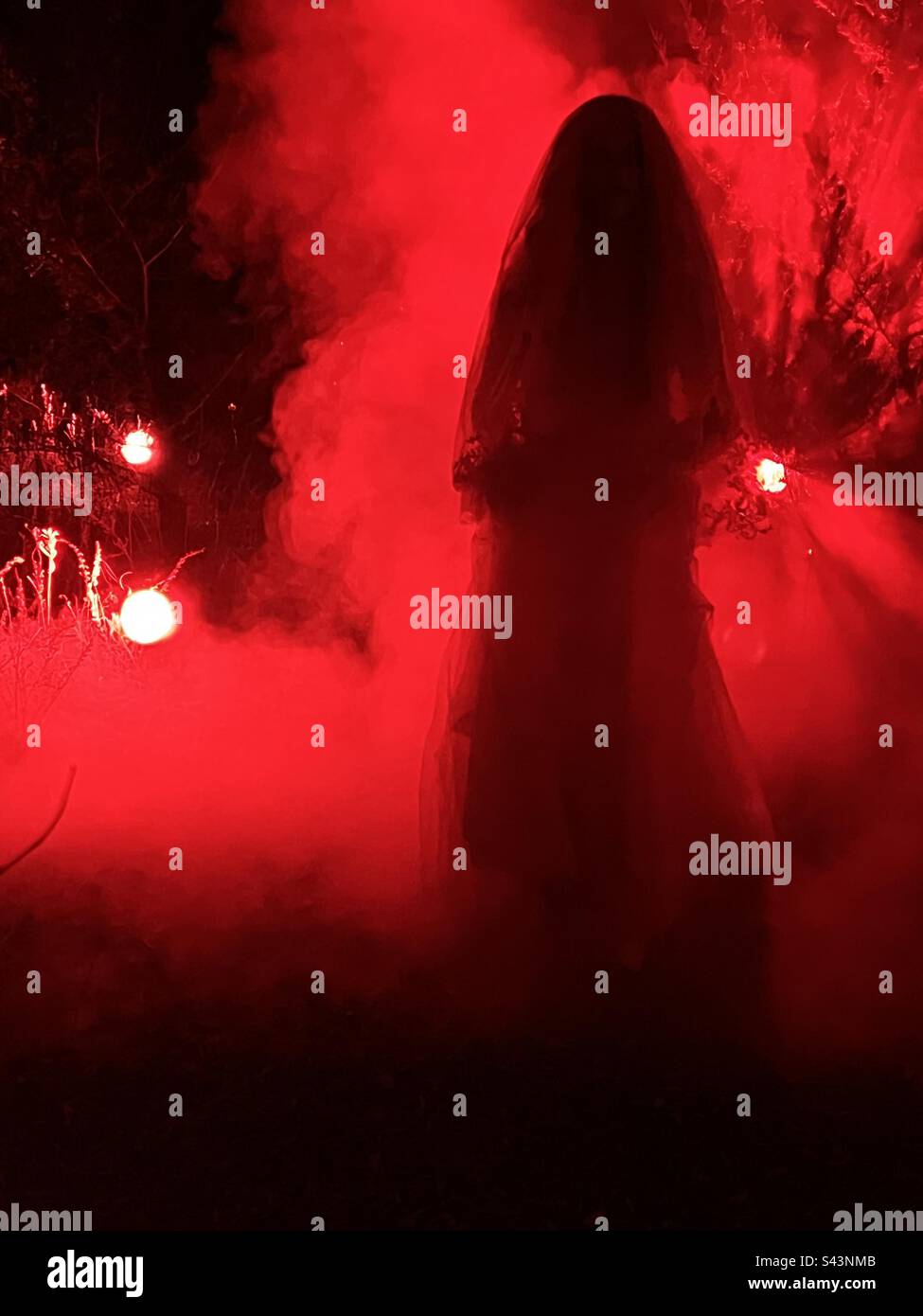 Horror bride hi-res stock photography and images - Alamy