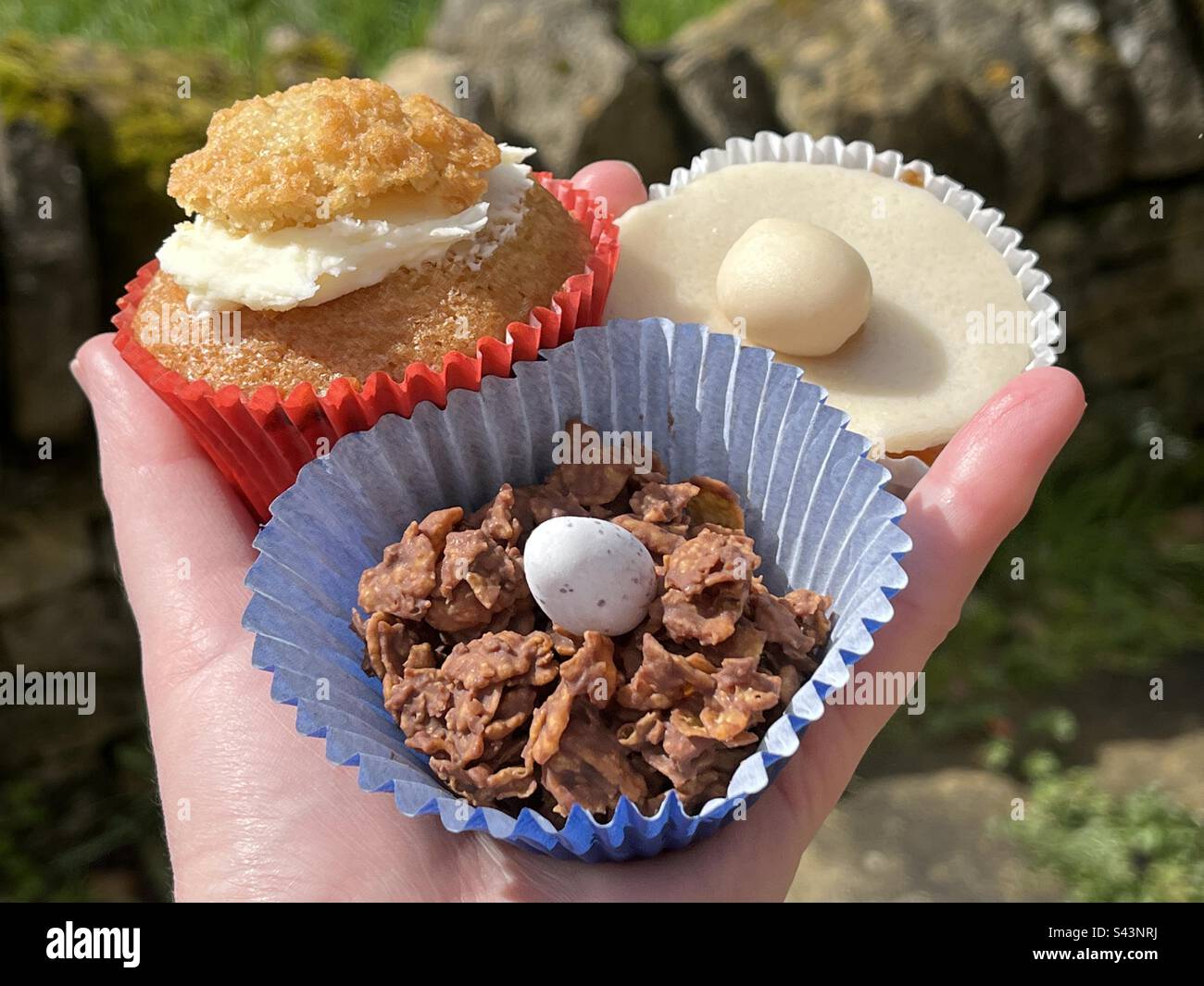 Homemade Easter Cakes - Simnel Cupcake, Sponge Cupcake and Chocolate ...
