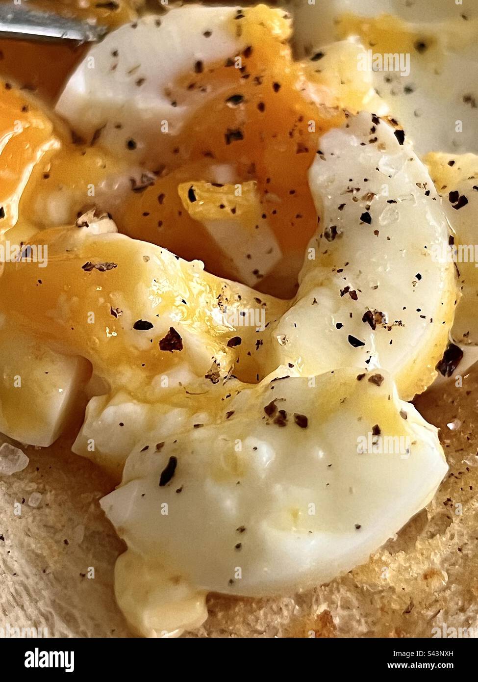 Soft boiled egg with runny yolk on white toast Stock Photo - Alamy