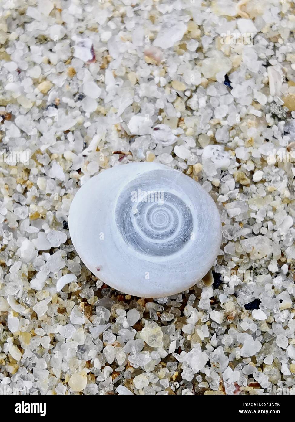 Tiny grains hi-res stock photography and images - Alamy