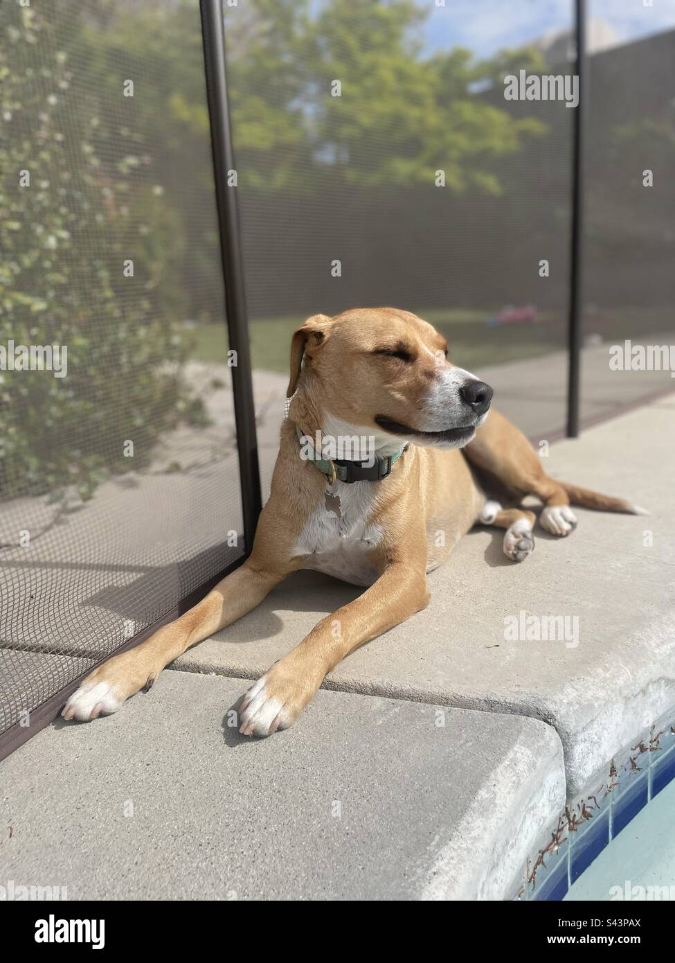 Smiling in the sun hi-res stock photography and images - Alamy