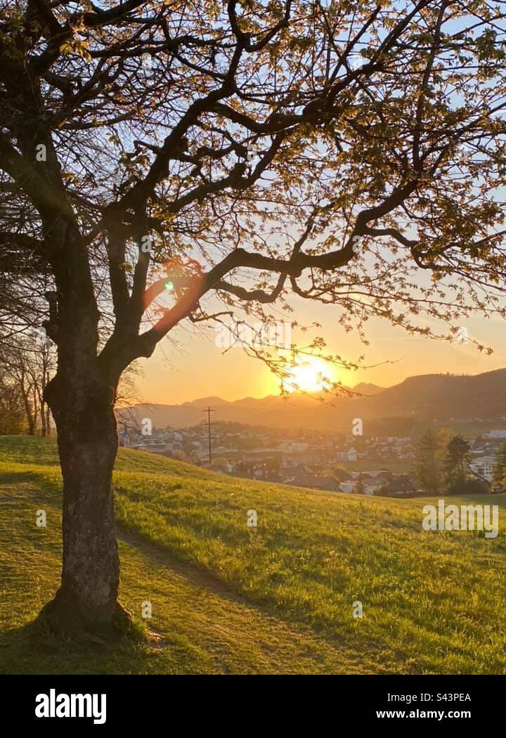 Safenwil hi-res stock photography and images - Alamy