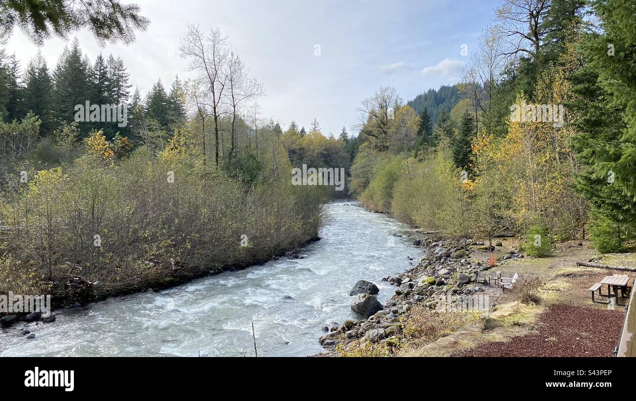 Rivers and trees hi-res stock photography and images - Alamy