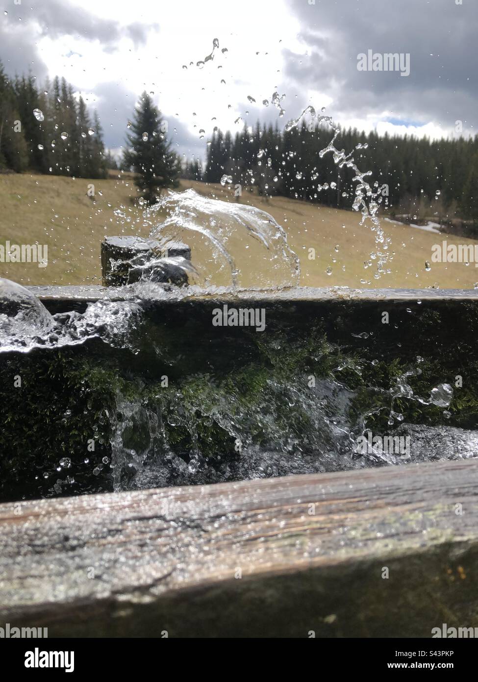 Water splashing Into a trough on a Mountain pasture in springtime Stock ...