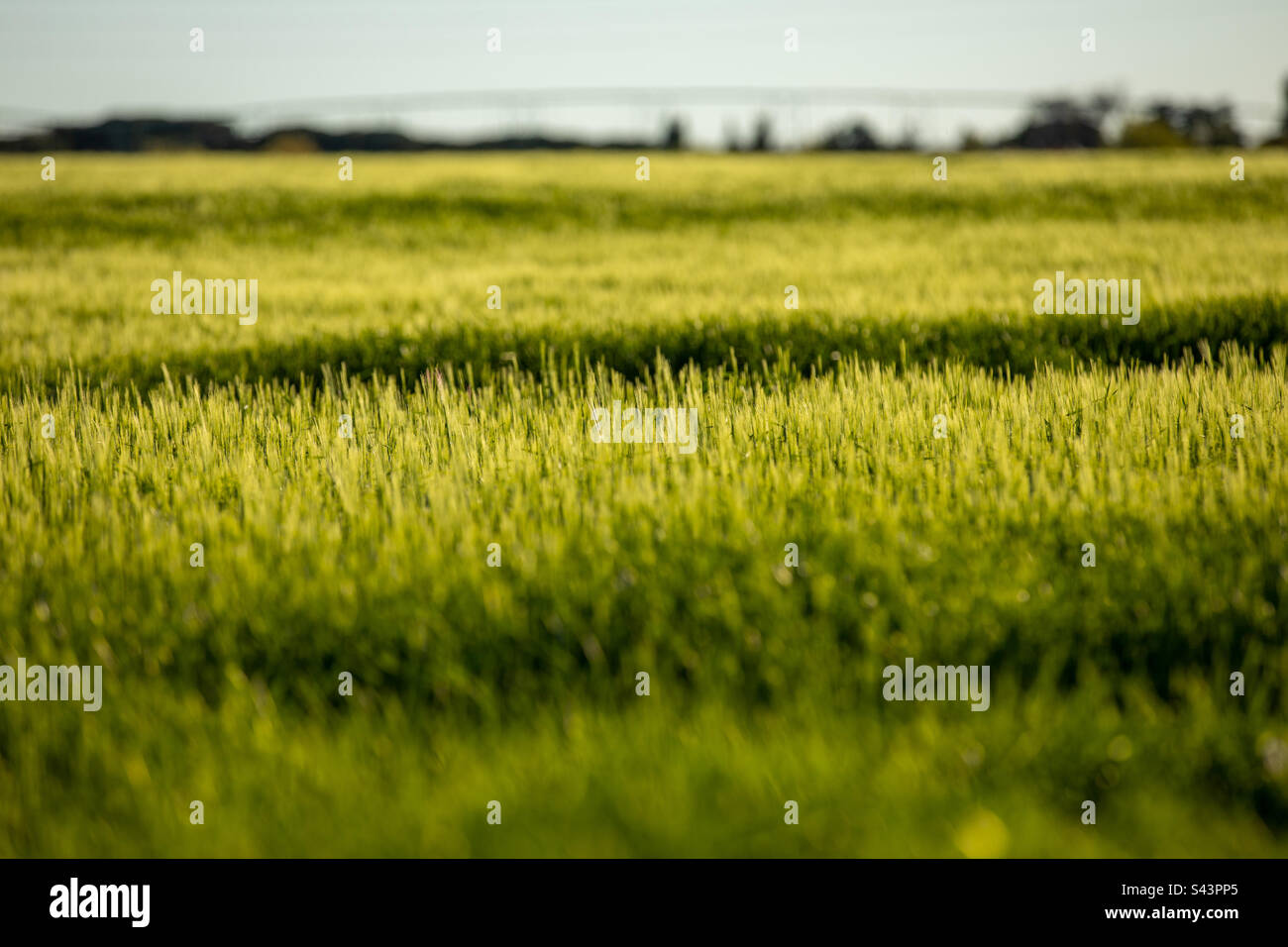 Country landscape spring hi-res stock photography and images - Alamy
