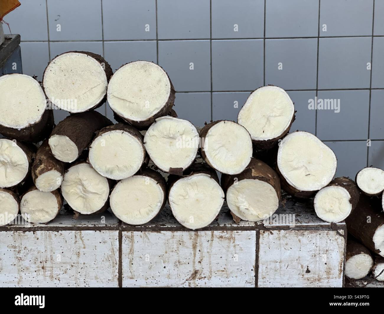 Manioc plant hi-res stock photography and images - Alamy