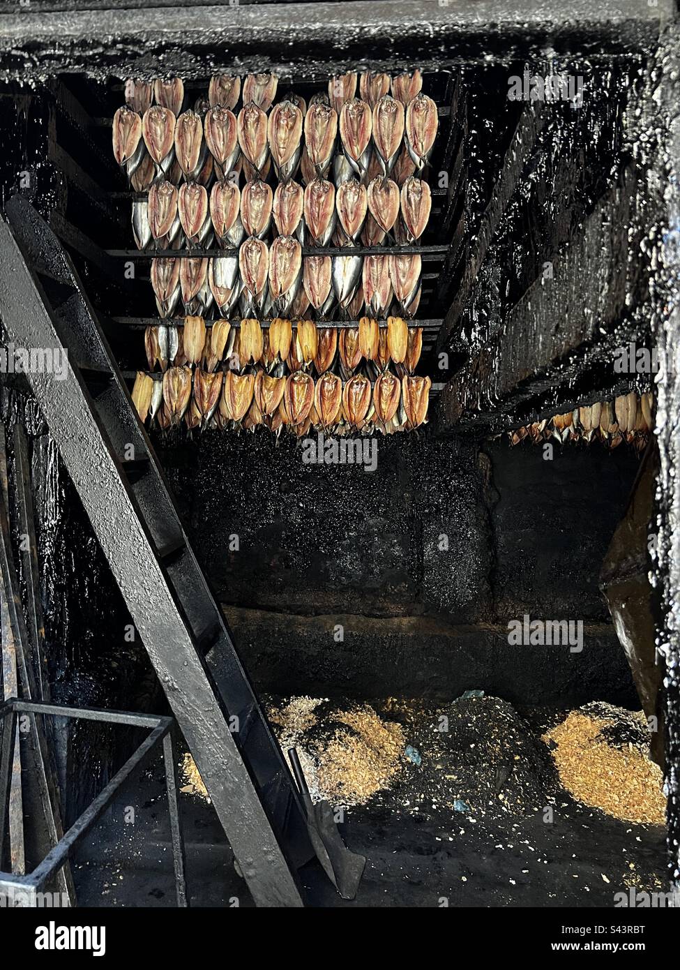 Inside a smokehouse where split herrings are smoked to produce kippers ...