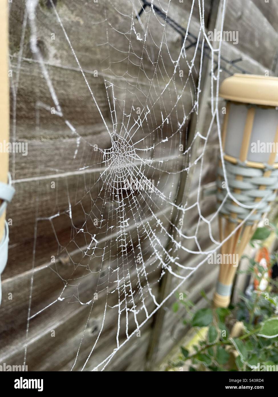 Cold web hi-res stock photography and images - Alamy