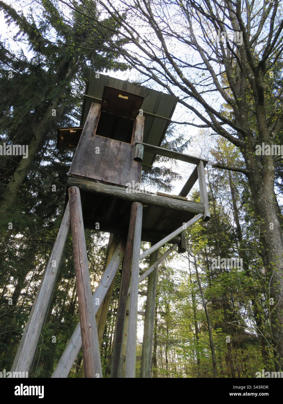 Jäger holz hi-res stock photography and images - Alamy