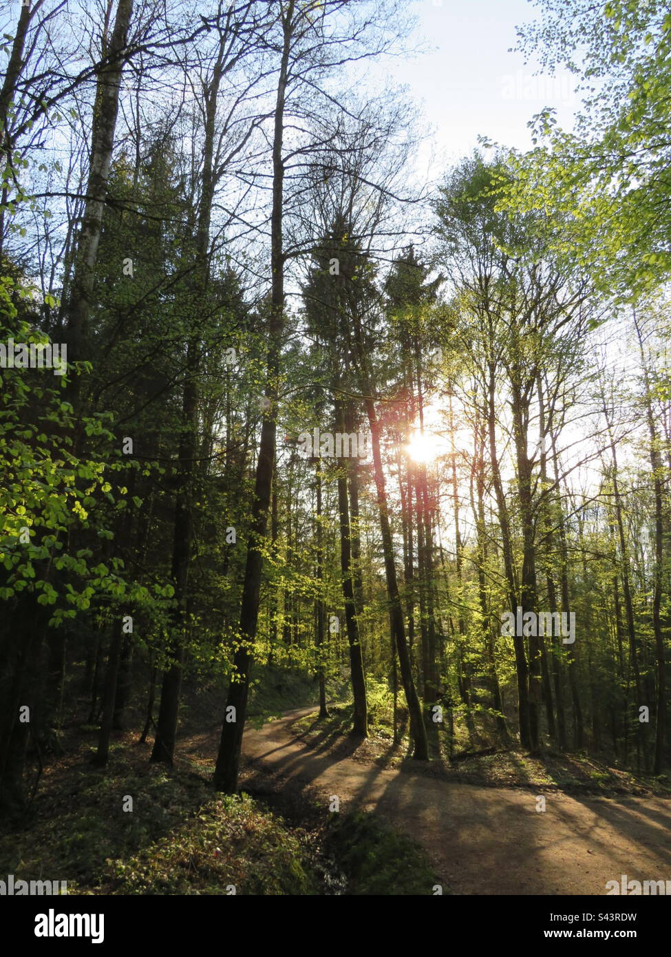 Sunlight sun sonne hi-res stock photography and images - Alamy