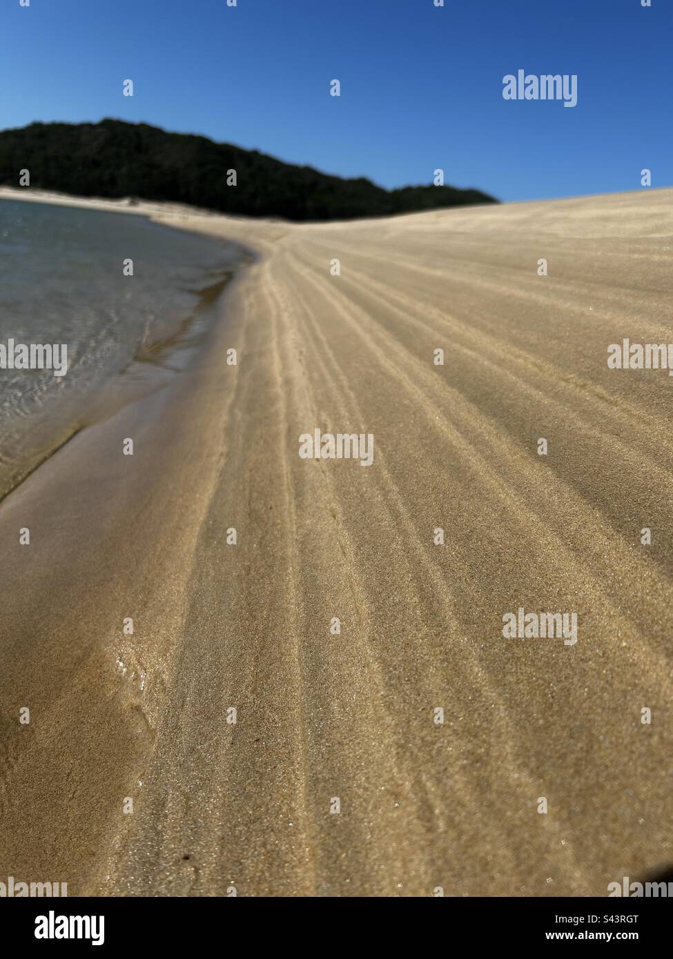 Perfectly natural hi-res stock photography and images - Alamy