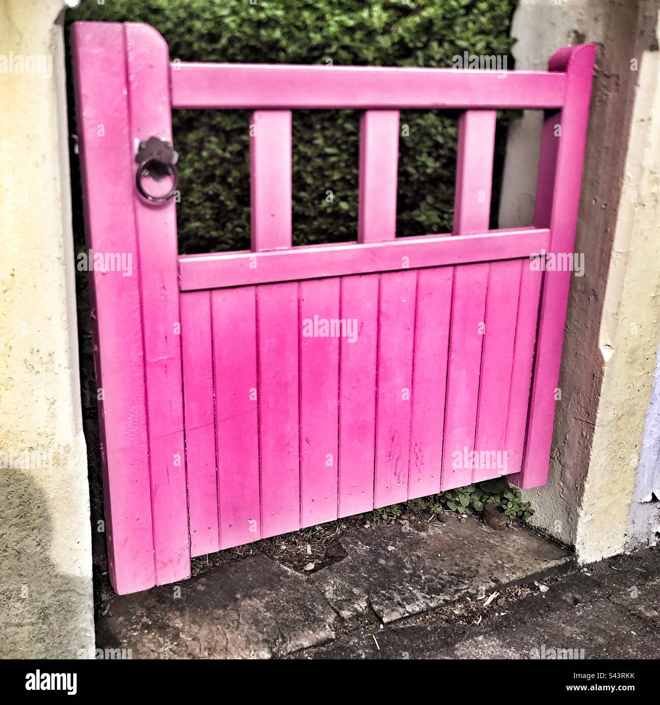 Garden barbie hi-res stock photography and images - Alamy