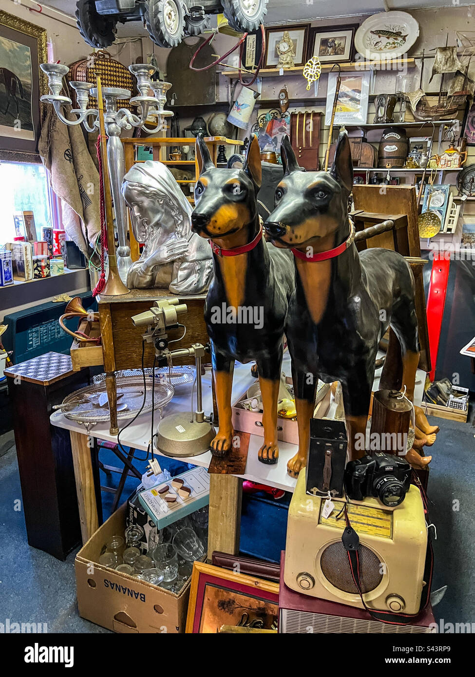 Inside antiques store Stock Photo - Alamy