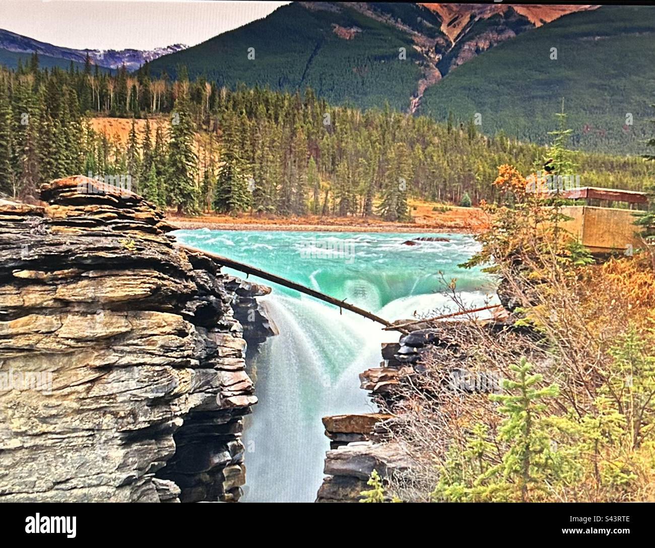Athabasca Falls, Jasper National Park, Canadian Rockies, Wilderness ...