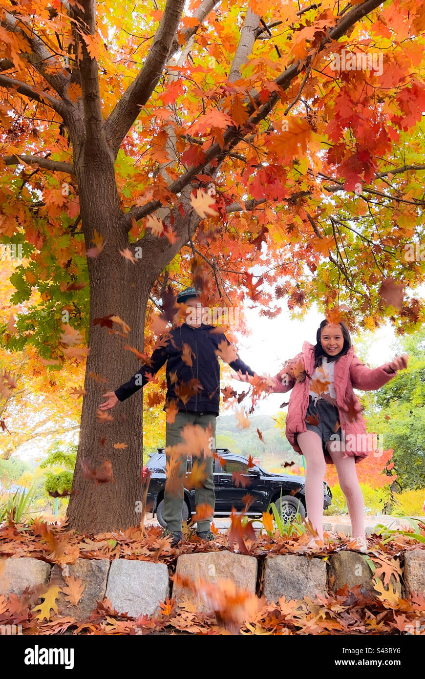 Brigh colours hi-res stock photography and images - Alamy