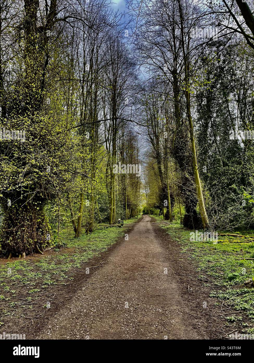 The knavesmire hi-res stock photography and images - Alamy