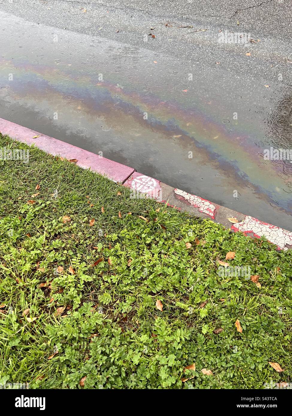 Rainbow grass hi-res stock photography and images - Alamy