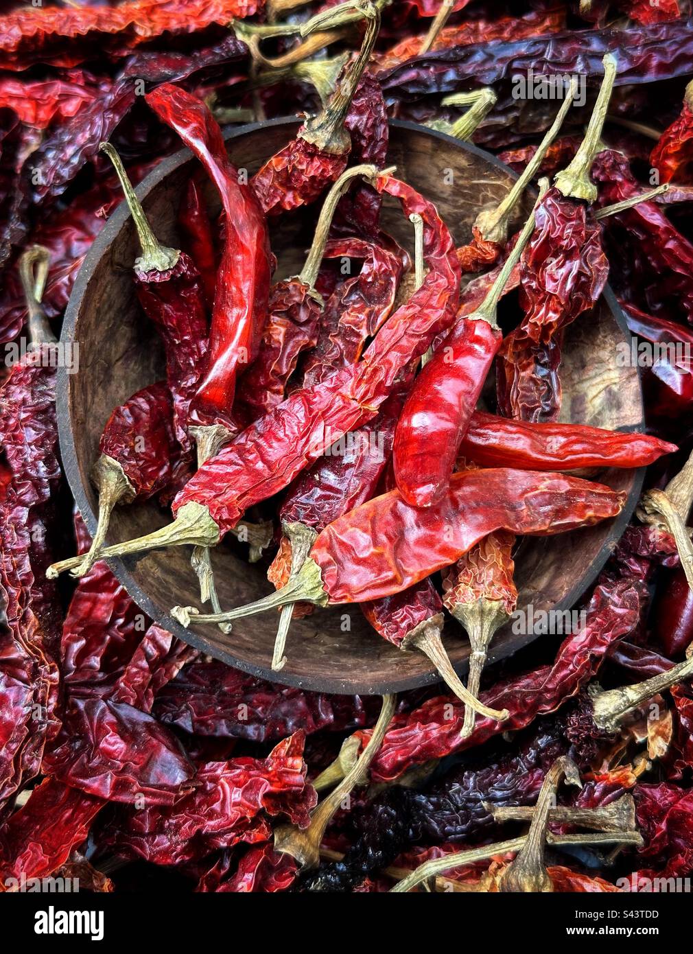 Indian chillies hi-res stock photography and images - Alamy