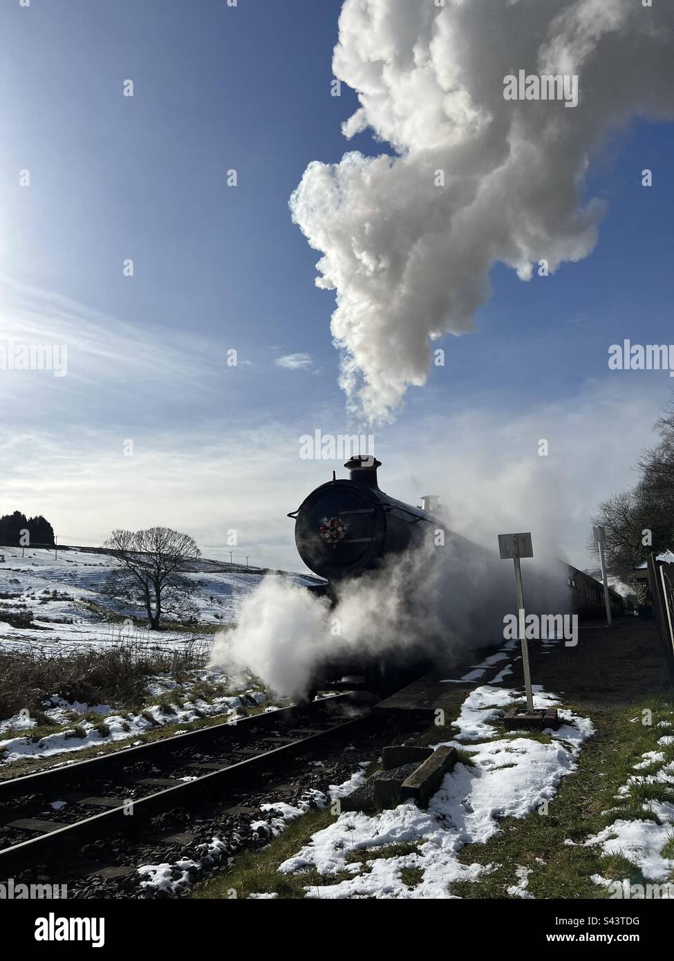 Lady legend hi-res stock photography and images - Alamy