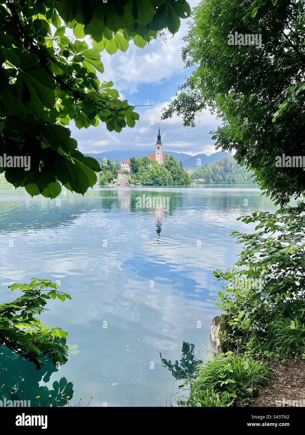 View of beautiful Lake Bled through the trees Stock Photo - Alamy
