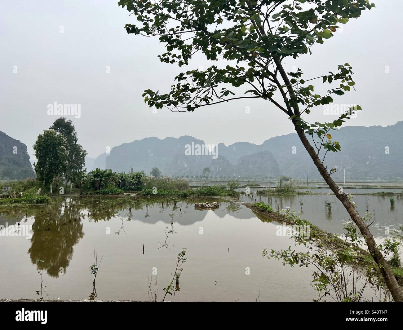 Calm and serene rainy countryside in Vietnam rice fields Stock Photo ...