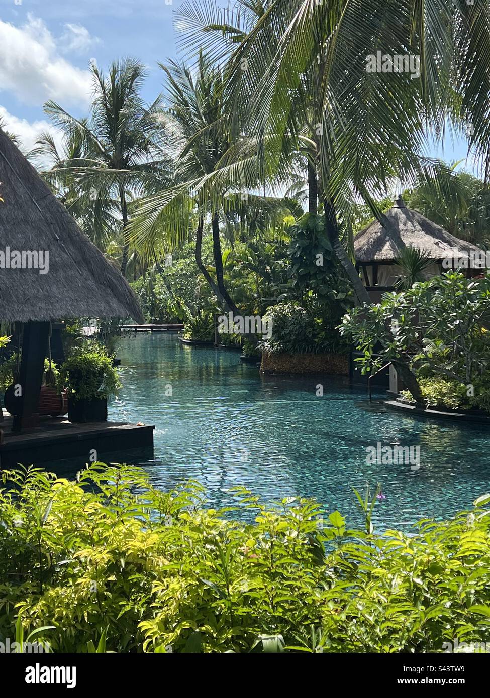 Lagoon style pool in bali with landscaping and cabanas Stock Photo - Alamy