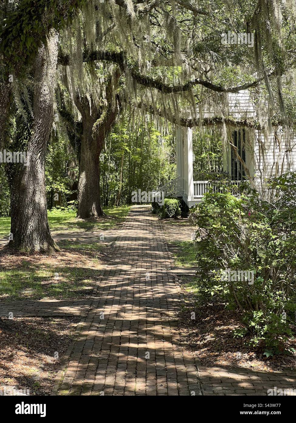 Rosedown plantation hi-res stock photography and images - Alamy