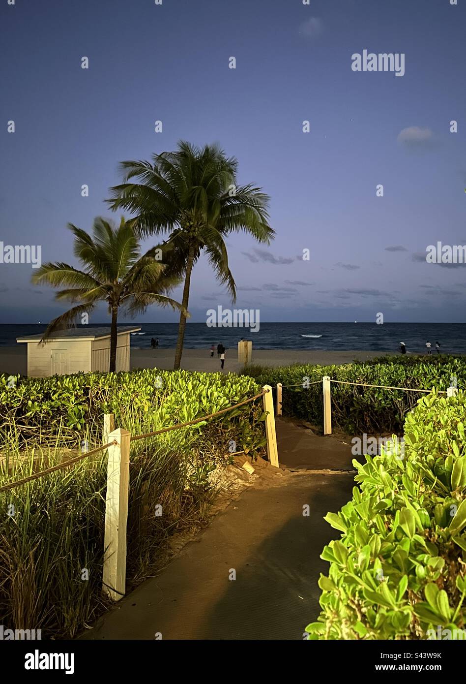 Night view of pathway to beach Miami Beach Florida Stock Photo - Alamy