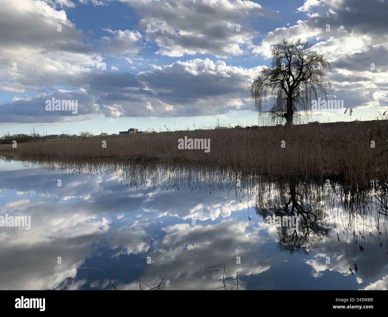 Reflection one hi-res stock photography and images - Alamy