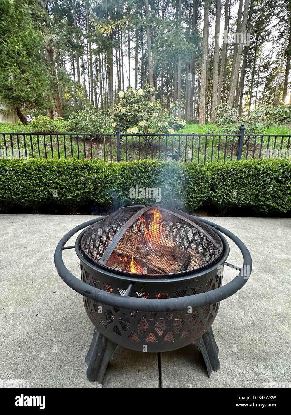 Fire burning in black metal fire pit on concrete patio in a back yard ...