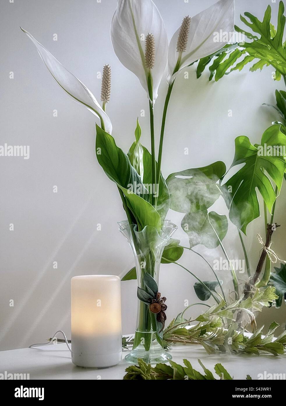 Arrangement of aromatherapy diffuser, three peace lily flowers in a ...