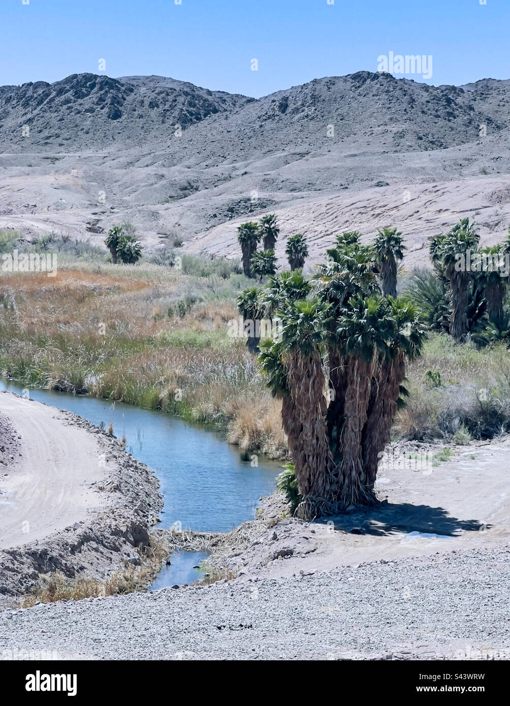 Damn nature hi-res stock photography and images - Alamy