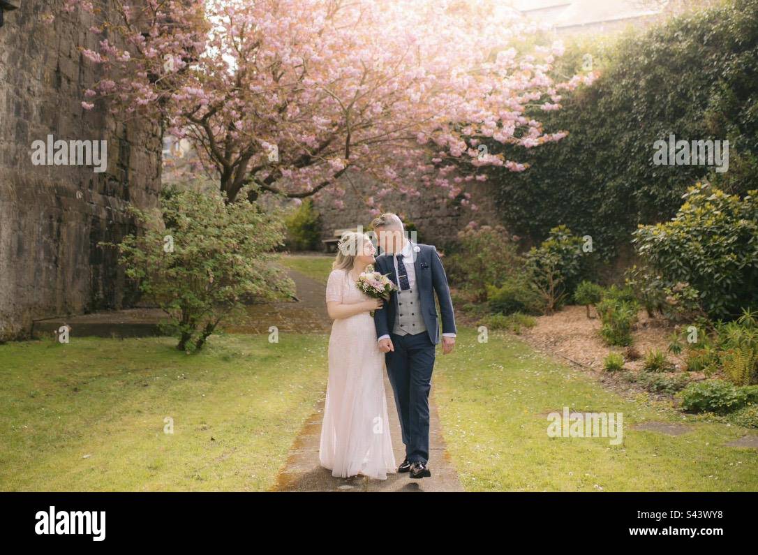 Spring Wedding, beautiful setting with Blossom Tree in gardens Stock ...