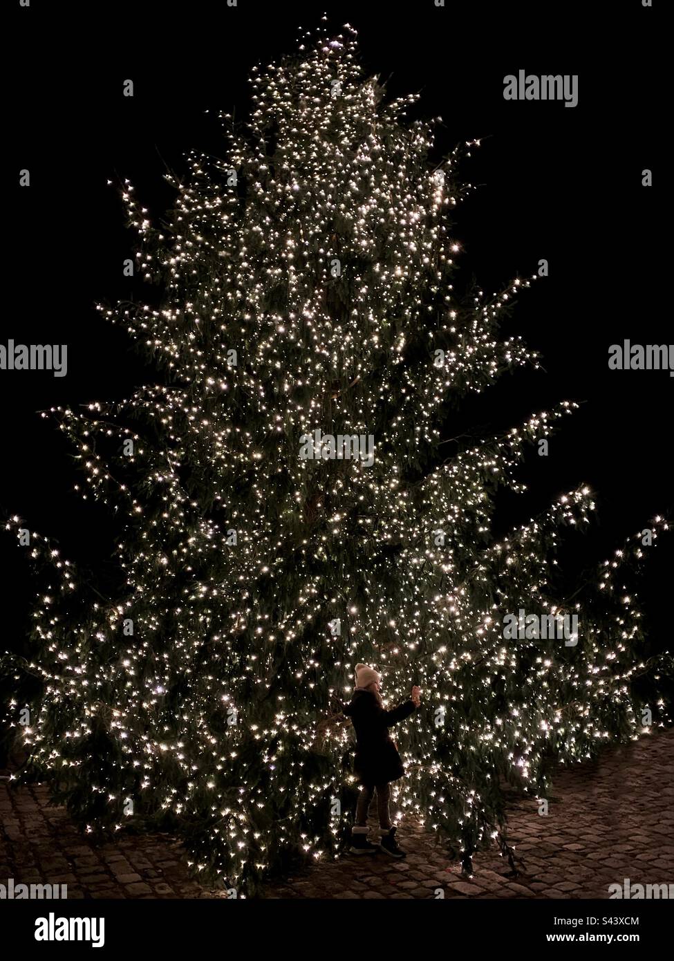 Nature christmas tree hi-res stock photography and images - Alamy