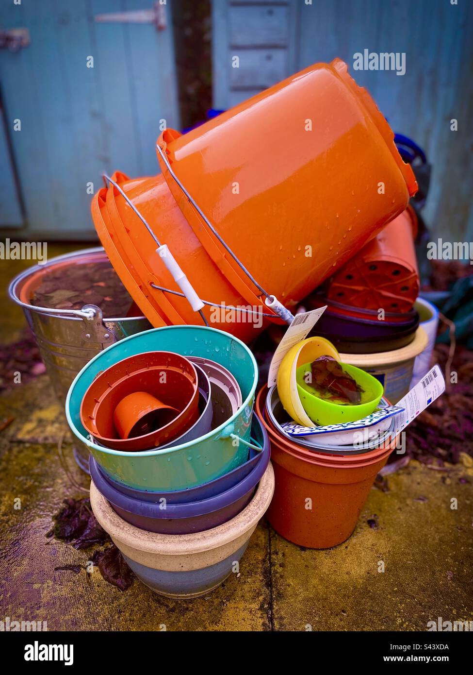 Messy plant hi-res stock photography and images - Alamy