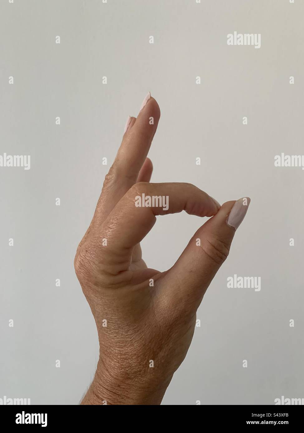Woman performing the gyan mudra sacred hand gesture in yoga against a ...