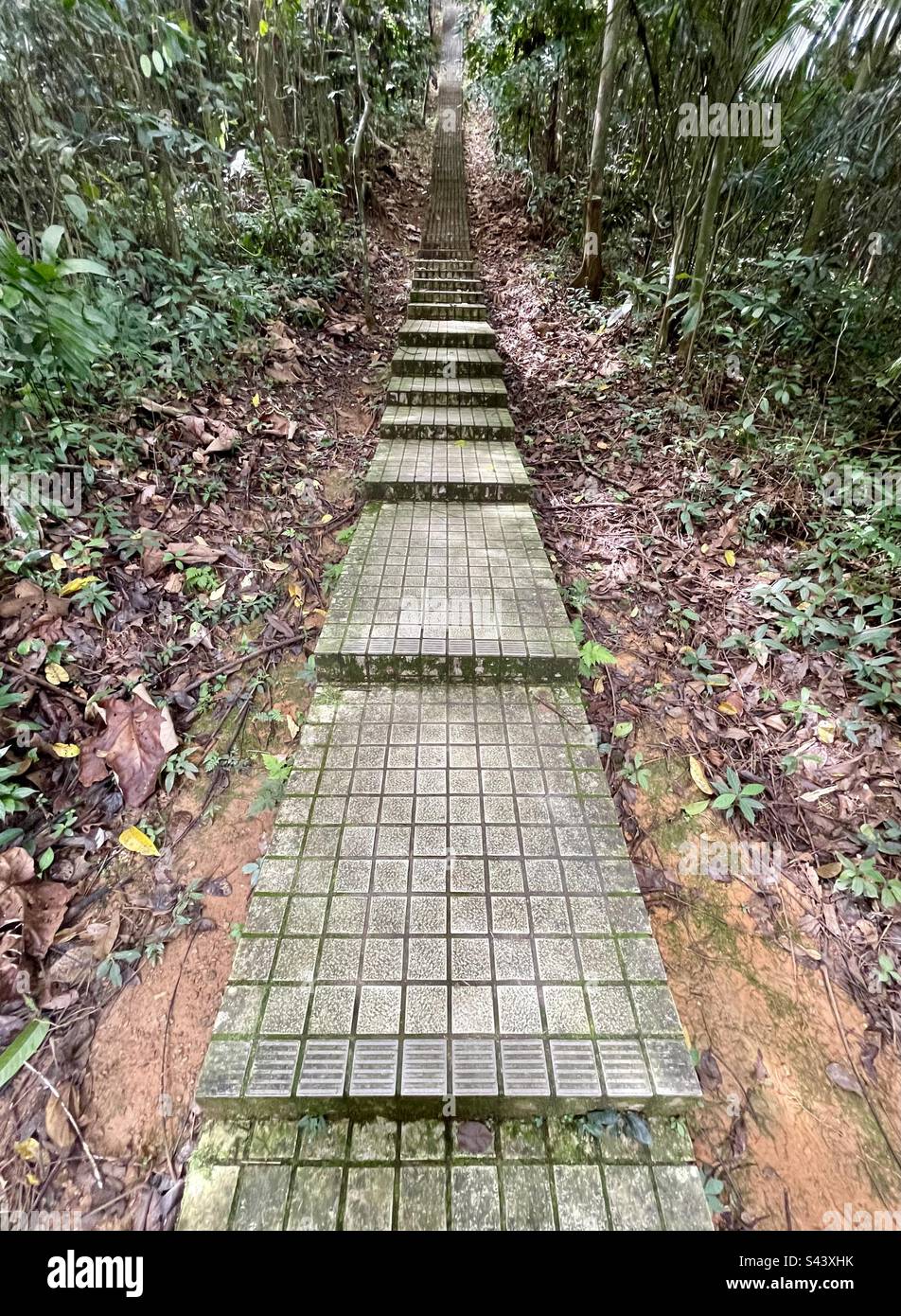 Brick paved path hi-res stock photography and images - Alamy