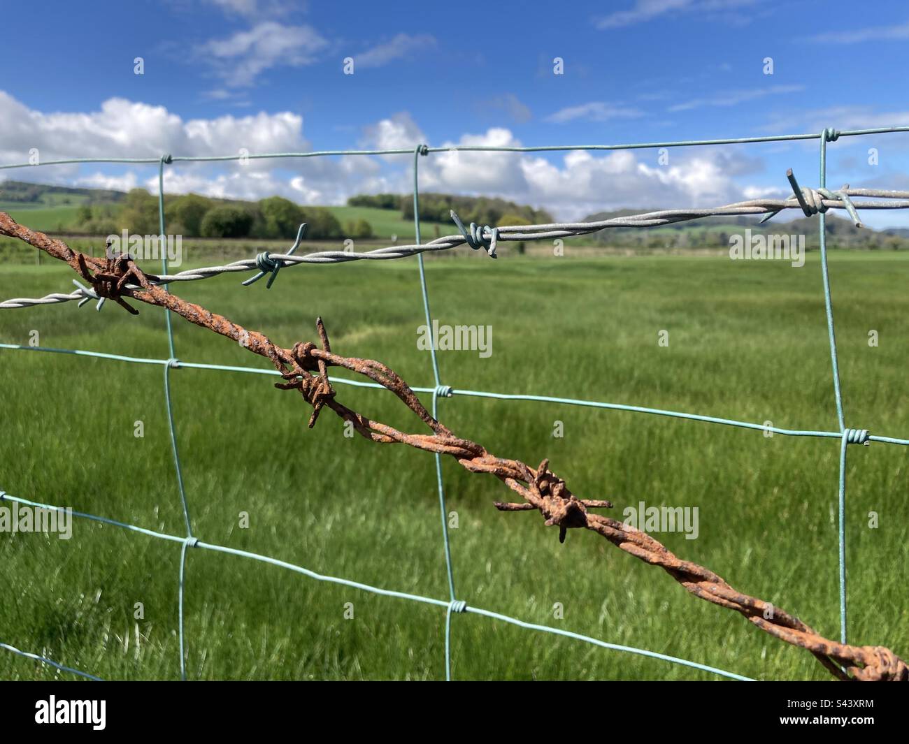 Offence hi-res stock photography and images - Alamy