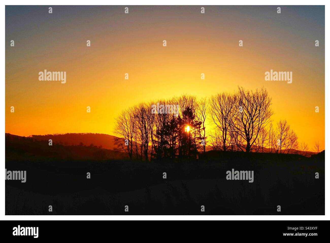 Sunrise with golden light hi-res stock photography and images - Alamy