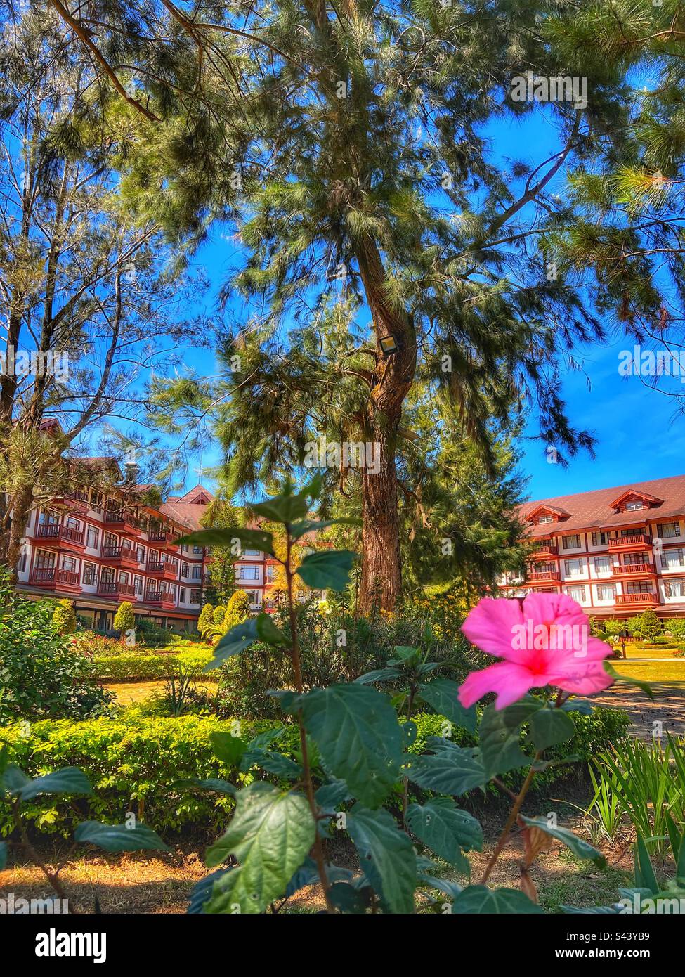 Capital of the philippines hi-res stock photography and images - Alamy