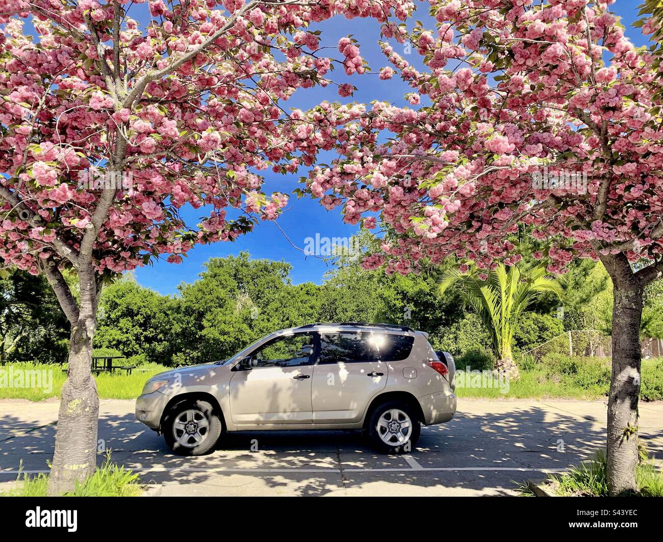 Toyota rav 4 hi-res stock photography and images - Alamy