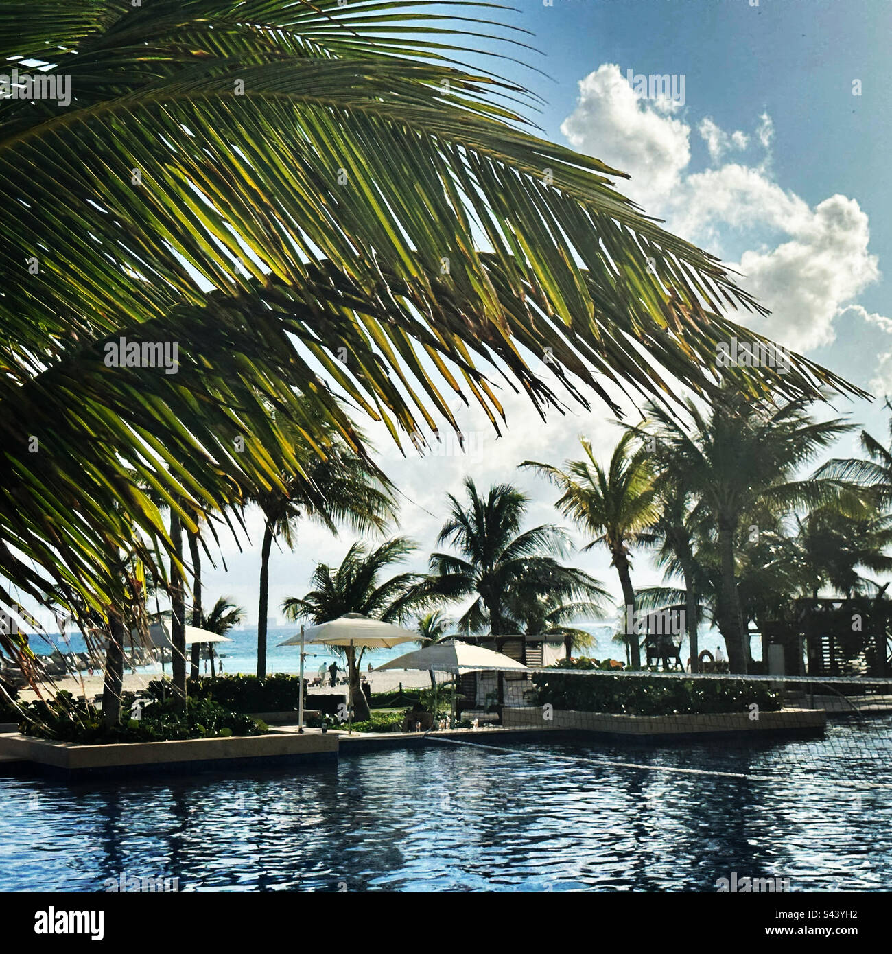 February, 2023, Swimming pool, Hyatt Ziva Cancun, Hotel Zone, Cancun ...
