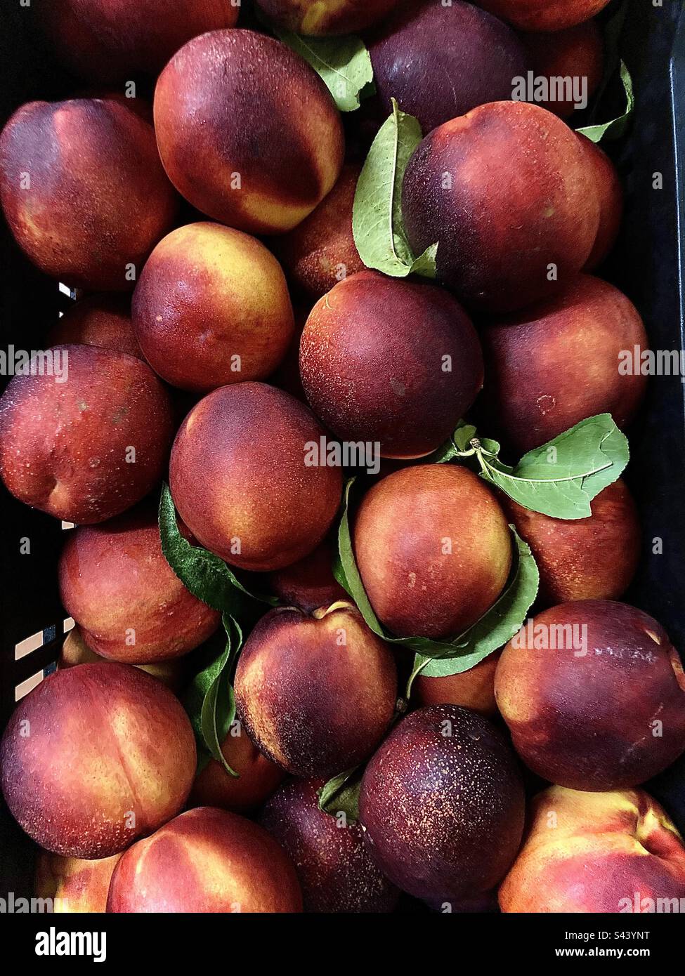 Frutta italiana hi-res stock photography and images - Alamy