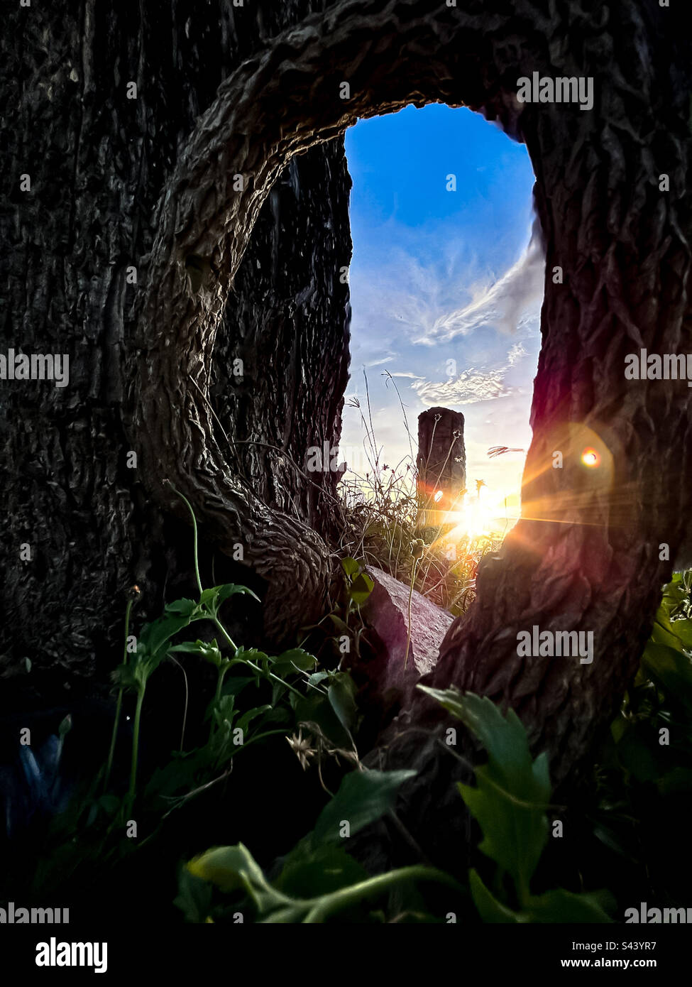 Miracle of nature hi-res stock photography and images - Alamy