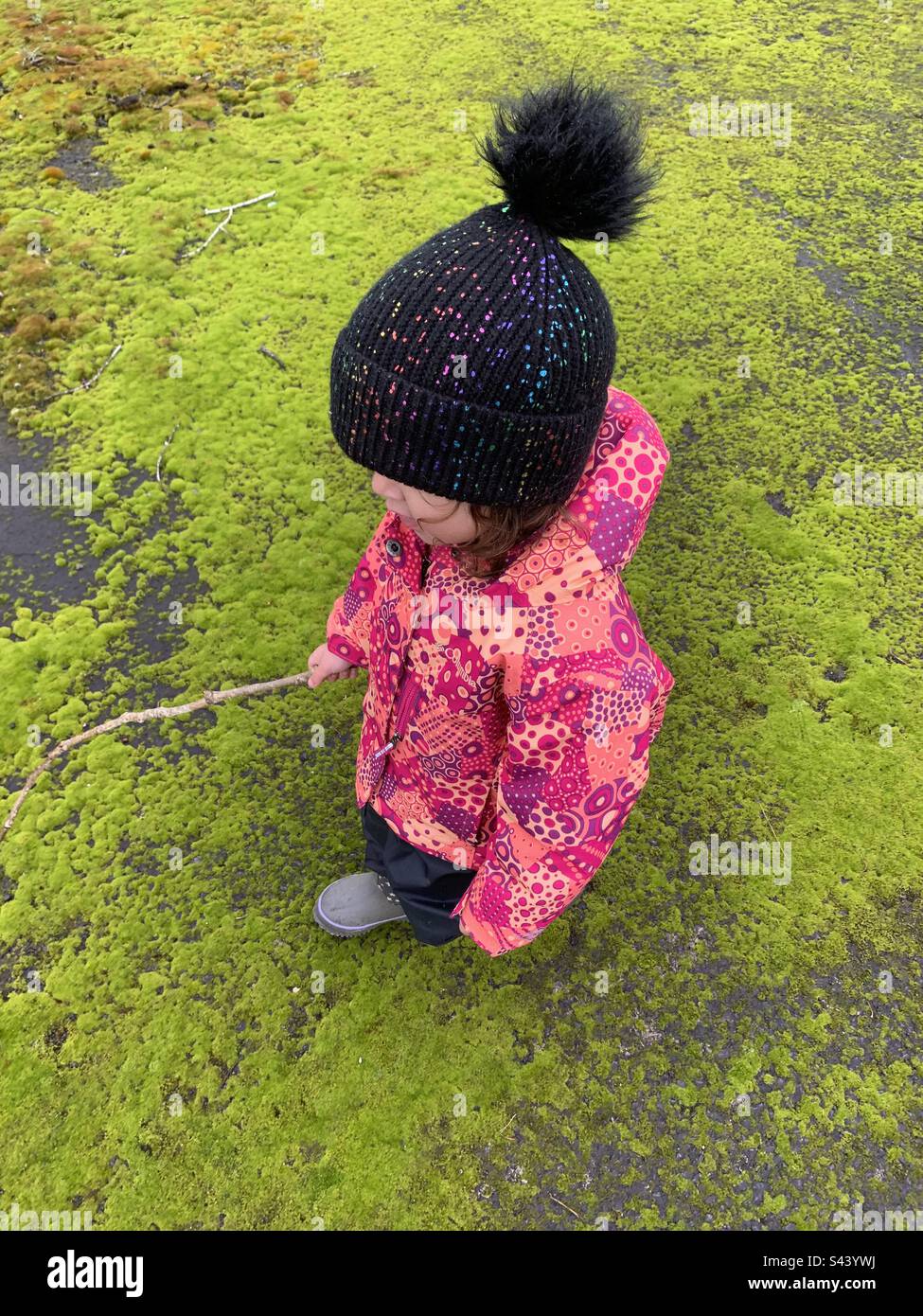 Little stick hi-res stock photography and images - Alamy